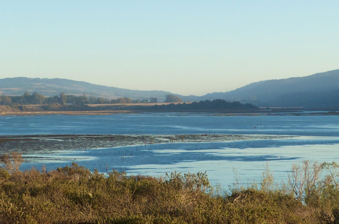Report Released on Ocean Acidification in San Francisco Bay – San ...