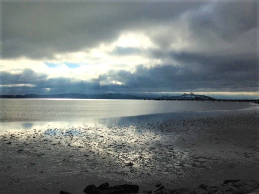 National Estuaries Week Kicks Off Saturday - San Francisco Estuary ...