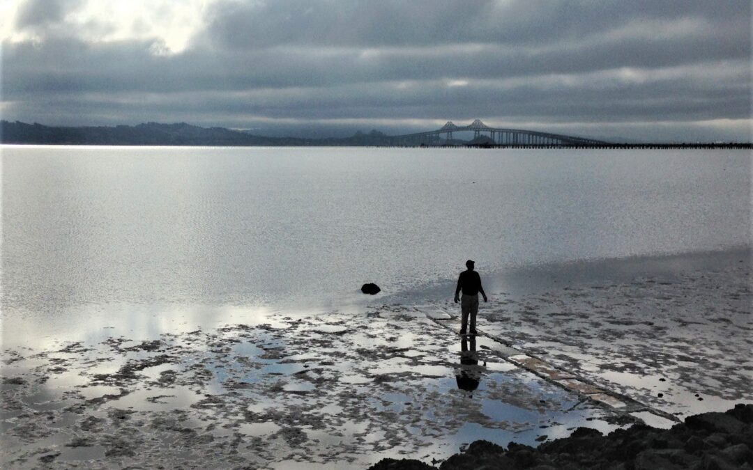 Major Bay Protection and Restoration Efforts Outlined in San Francisco ...