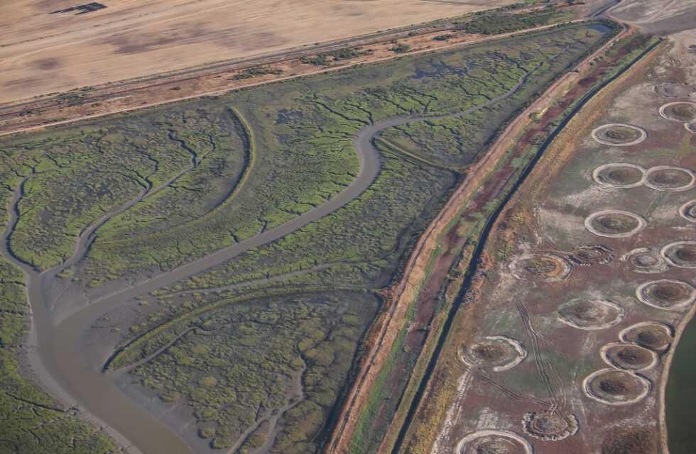 Estuary Blueprint - San Francisco Estuary Partnership