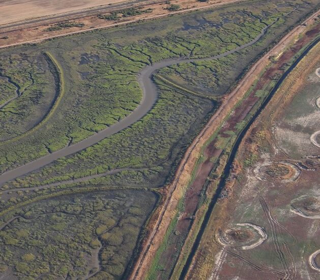 Estuary Blueprint - San Francisco Estuary Partnership