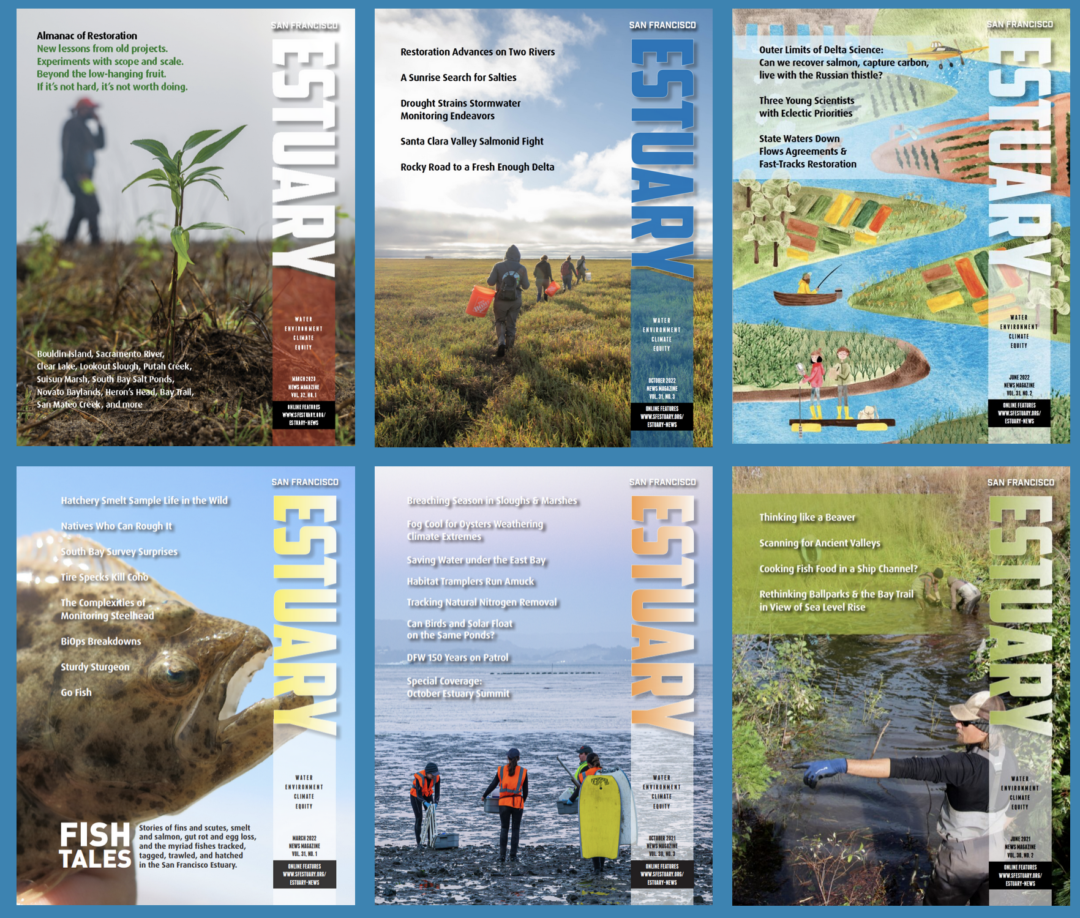 Home - San Francisco Estuary Partnership
