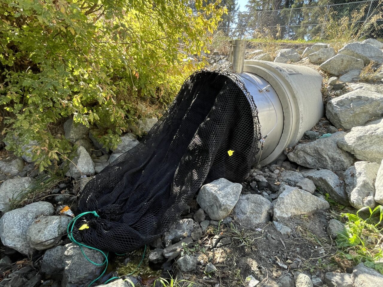 Trashy trends: challenges of the Bay Area’s free-range waste - San ...