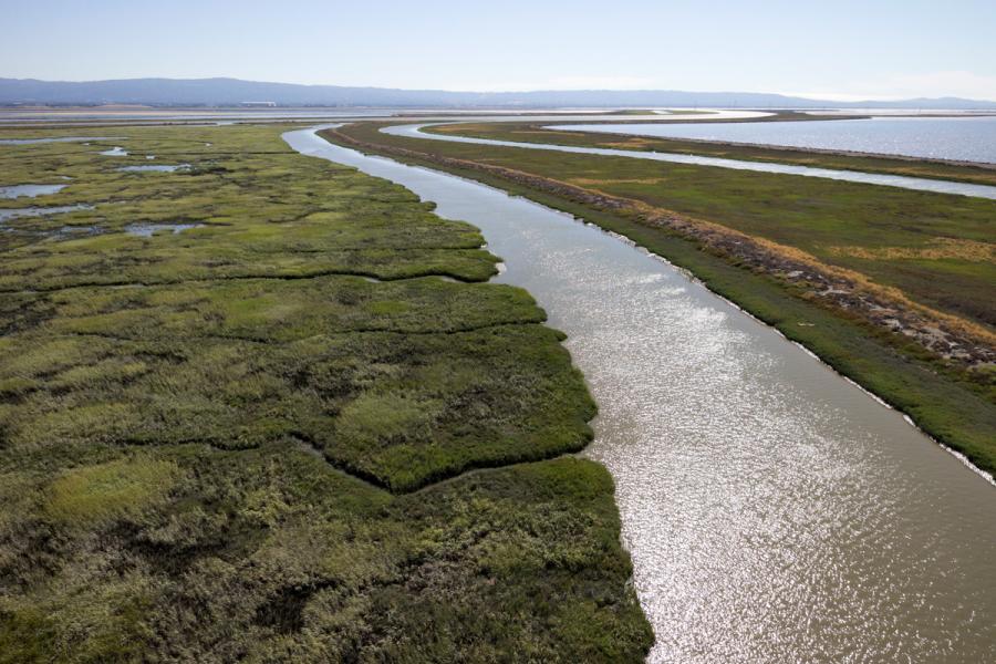 Home - San Francisco Estuary Partnership